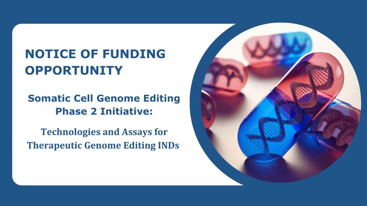 Somatic Cell Gene Editing